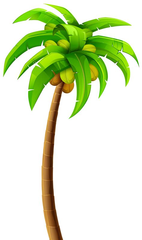 Palm Tree Png