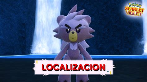 Como Capturar A Kubfu En Pokemon Escarlata Y Purpura Ubicacion Donde