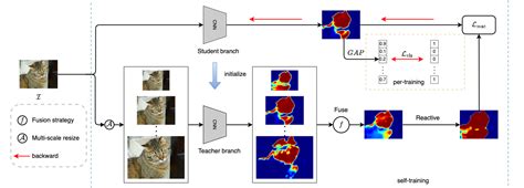 a self training framework based on multi scale attention fusion for weakly supervised semantic