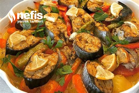 F R Nda Palamut Videolu Nefis Yemek Tarifleri