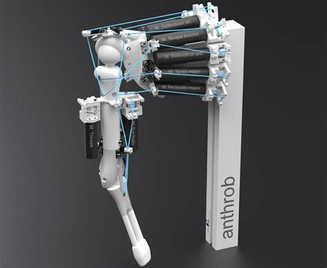 Tendon Driven Control Of Biomechanical And Robotic Systems Mechanical