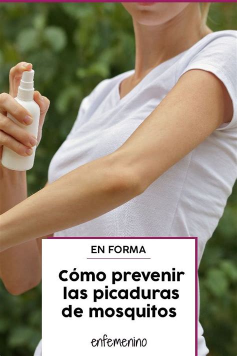 Repelentes Naturales Antimosquitos Realmente Funcionan Healthy