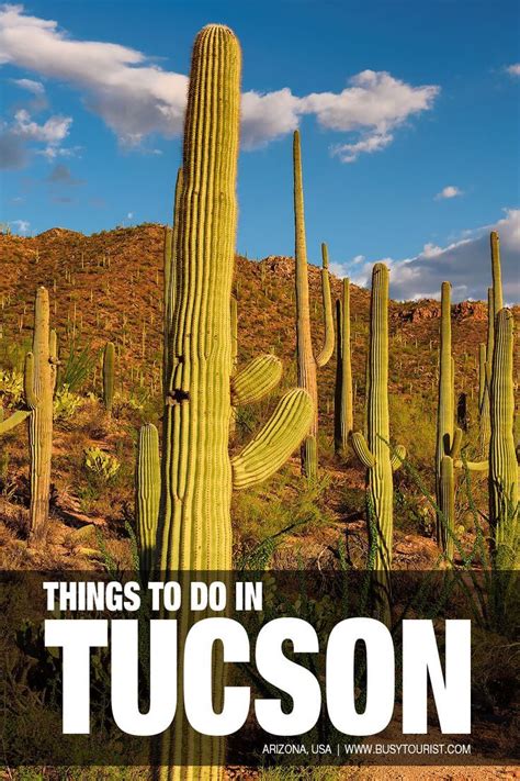 30 Best Fun Things To Do In Tucson Arizona Artofit