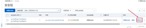 【idea sprongboot项目】ssh连接云服务器进行远程开发 idea ssh远程开发 csdn博客