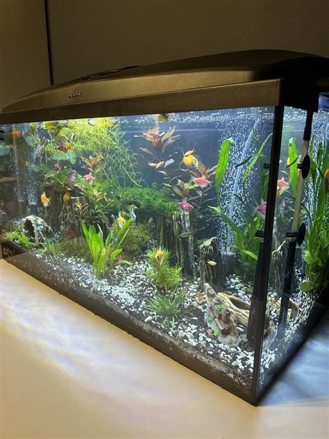 Akwarium zestaw Aquael 112l Toruń OLX pl