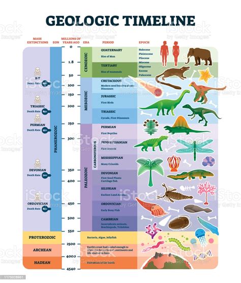 Ilustración vectorial de escala de línea de tiempo geológica Esquema