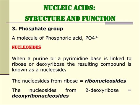 Ppt Nucleic Acids Structure And Function Powerpoint Presentation Id460439