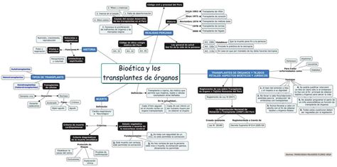 9 1 Bioética y los Trasplantes Mapa Conceptual Milagros Flores uDocz