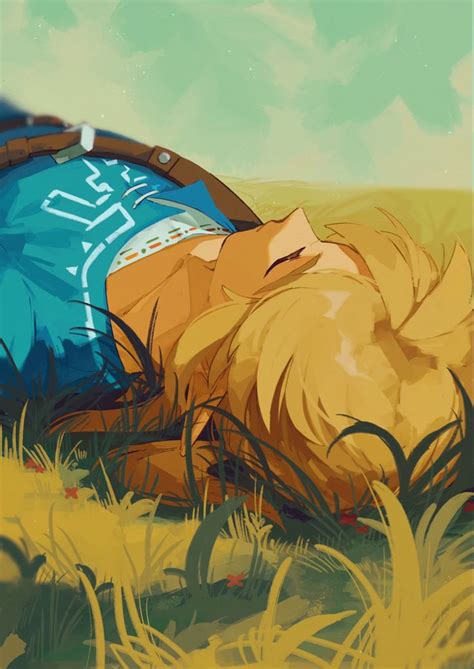 Pin By Czhym On Legend Of Zelda Zelda Art Legend Of Zelda Breath