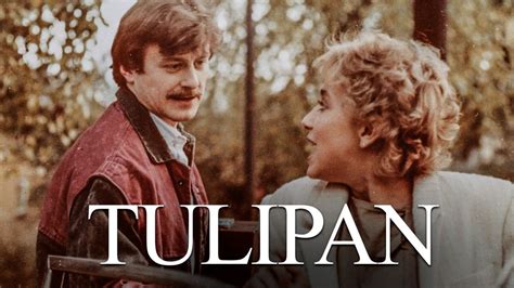 Tulipan serial telewizyjny Oglądaj na VOD TVP
