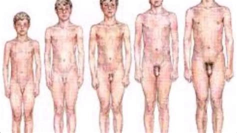 Average Male Penis Girth Inch Penis Girth