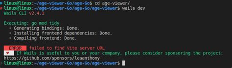 Wails Failed To Find Vite Server While Running Front End Of