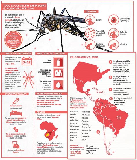 Zika ya llegó al Perú y esto es todo lo que debes saber sobre el virus
