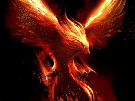 Phoenix Hd Wallpapers K Hd Phoenix Backgrounds On Wallpaperbat