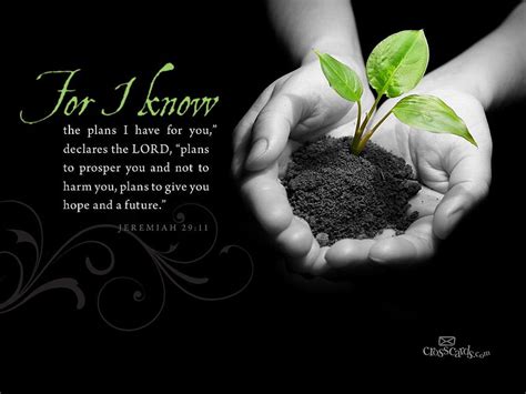 Jeremiah Plans To Give You Hope Hd Wallpaper Pxfuel
