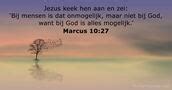 Bijbelteksten Over Het Leven Dailyverses Net
