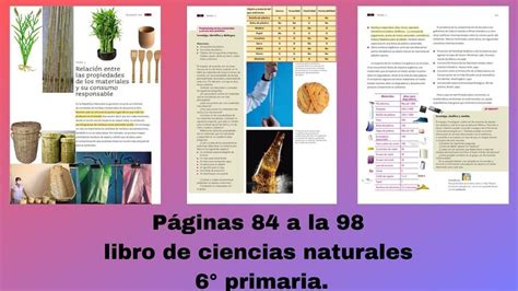 Página 84 a la 98 libro de ciencias naturales 6 primaria YouTube