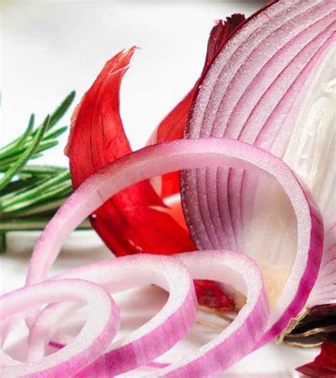 Comment Planter Des Oignons Tout Ce Qu Il Faut Savoir Pour R Ussir