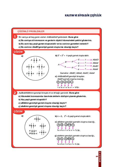 10 SINIF BİYOLOJİ MEB YAYINLARI SAYFA 89 VE 90 IN CEVAPLARI LAZIM