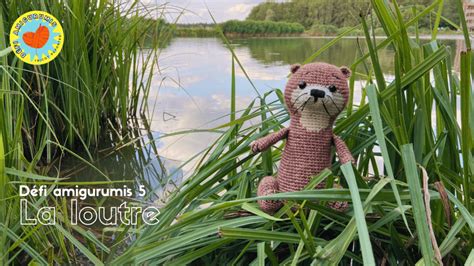 Mod Le Damigurumi Loutre Crocheter Tricot Reporter