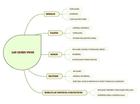 Los Seres Vivos Mind Map