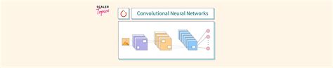 Convolutional Neural Networks With Pytorch Scaler Topics