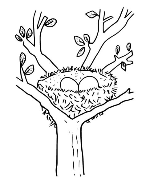 Desenhos De Ninho Para Colorir E Imprimir Colorironline