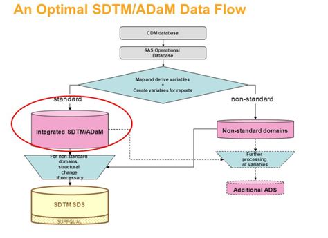 clinnovo news optimal sdtm or adam data flow by clinnovo research labs