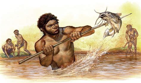 Como O Homo Sapiens Obtinha Seus Alimentos No Período Paleolítico