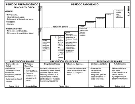 Cuadro De Historia Natural De La Enfermedad