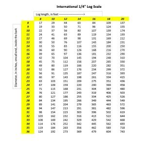 The Meaning And Symbolism Of The Word Scale Measuring