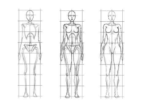 Out Of This World Tips About How To Draw Female Human Body Mainmall