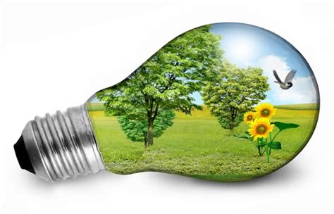 Día Mundial de la Eficiencia Energética 10 consejos para reducir el