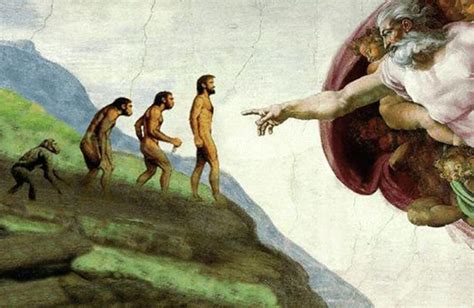 La Religione Alla Prova Di Darwin Il Pensiero Storico Rivista