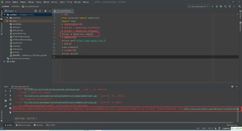 Selenium Common Exceptions WebDriverException Message