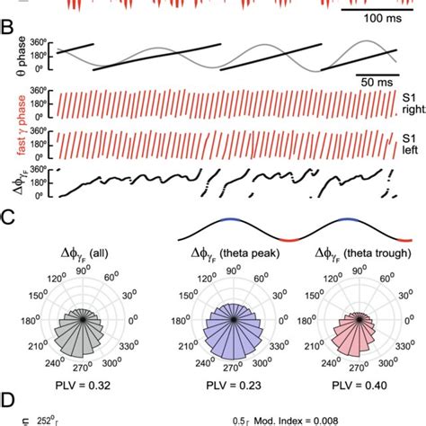 Detecting Modulation Of Interhemispheric Gamma Frequency Synchrony By