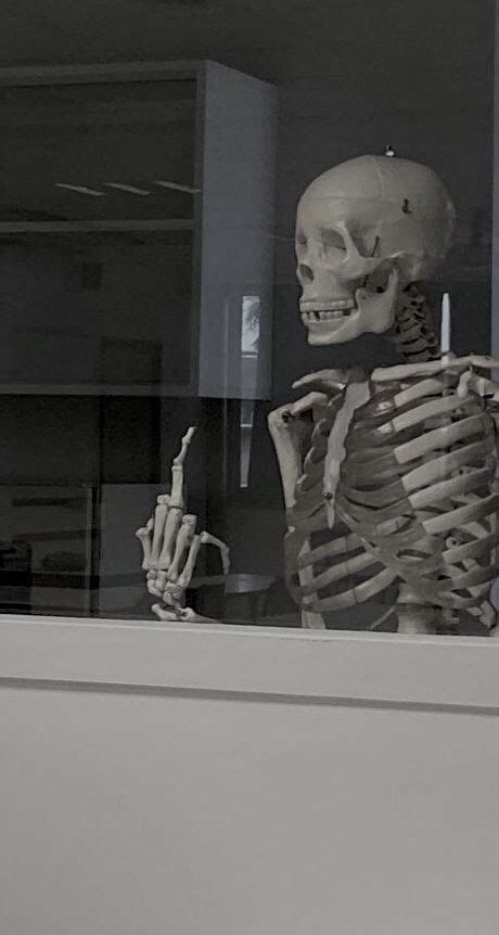 Pin By Earth Angel On ABCDfuckme In 2024 Silly Skeleton Funny
