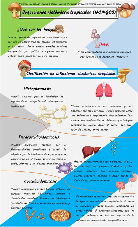 Infografia Infecciones Sist Micas Tropicales Infecciones Sist Micas
