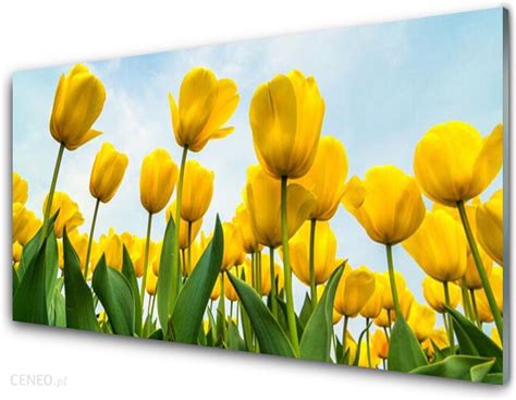 Tulup Panel Szklany Tulipany Kwiaty Roślina 120x60cm PLPKNN49538635