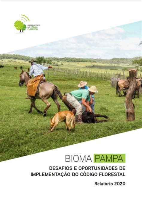 Pampa Desafios e oportunidades para a conservação do Bioma Amigos da