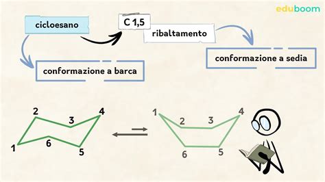 Le Conformazioni Di Alcani E Cicloalcani Scienze Naturali Quinta Superiore