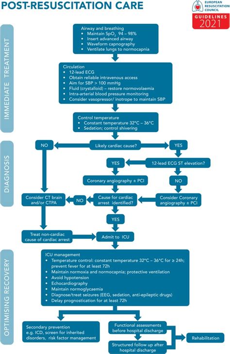 European Resuscitation Council Guidelines Executive Summary