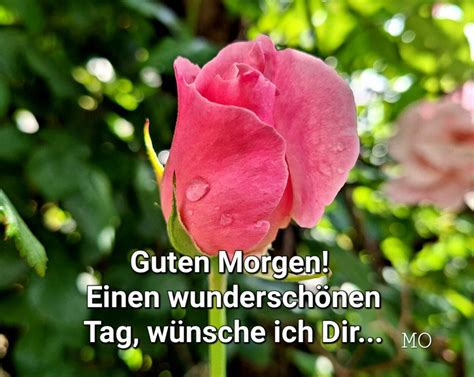 Guten Morgen Einen Wundersch Nen Tag W Nsche Ich Dir