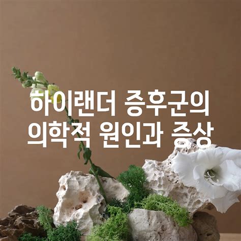 하이랜더 증후군의 의학적 원인과 증상