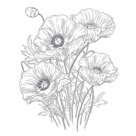 Printable Poppy Flowers Coloring Page Mimi Panda Worksheets Library