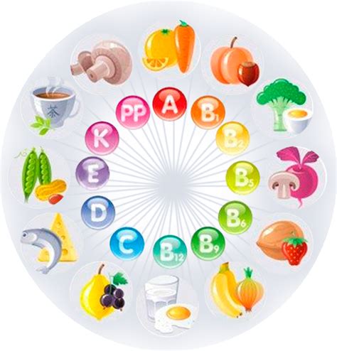 Principales Nutrientes Nutrientes Y Alimentos