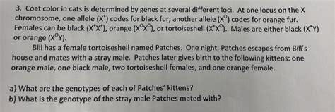 Solved Coat Color In Cats Is Determined By Genes At Chegg
