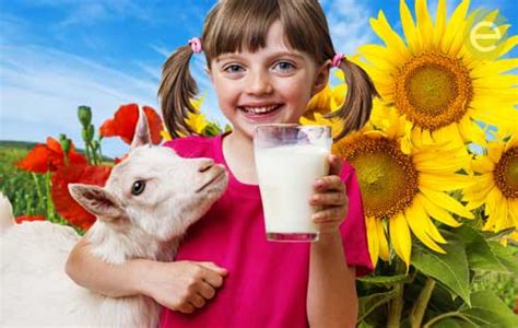 Goat Milk Products Prospects Epashupalan