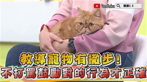 教導寵物有撇步不打罵鼓勵對的行為才正確 健康2 0 精華 犬類行為專家 熊爸 YouTube