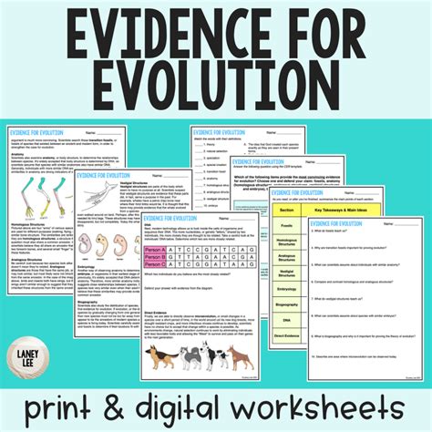 Evidence For Evolution Worksheet